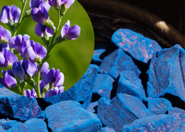 Indigo: The Blue Gold of the Carolinas – Let's Talk Color