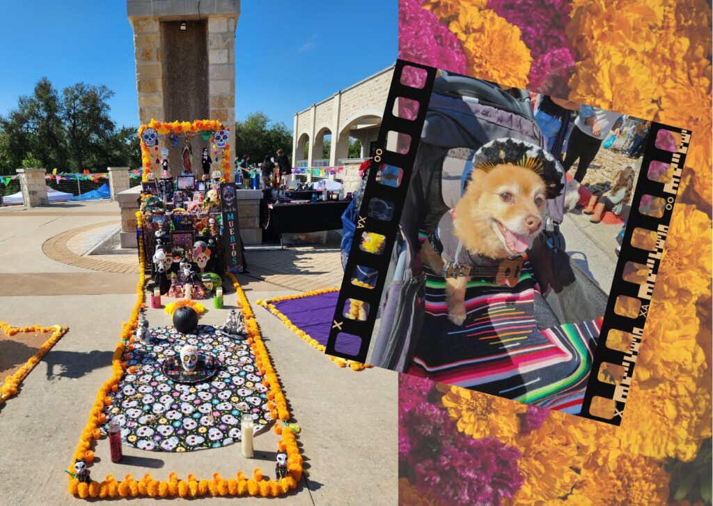 Day of the Dead: The Meaning Behind the Colors That Celebrate Life ...